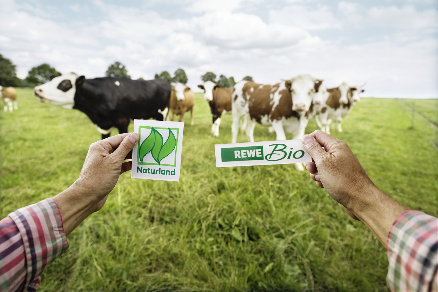 Regionen | REWE Presse