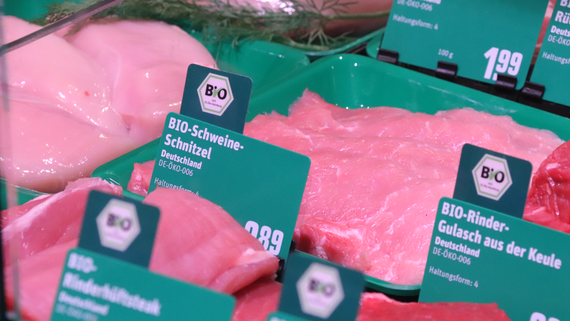 REWE gibt es jetzt auch in Ludwigsfelde | REWE Presse
