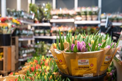 Märkte Region West | REWE Presse